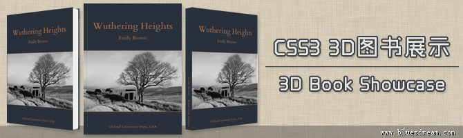 CSS3 3D图书展示 (3D Book Showcase) – 蓝色梦想